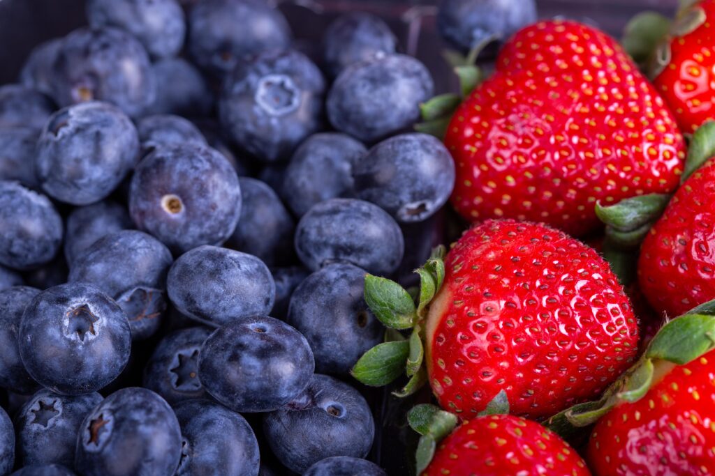 Fresh Results – Delivering Freshness Across the Globe